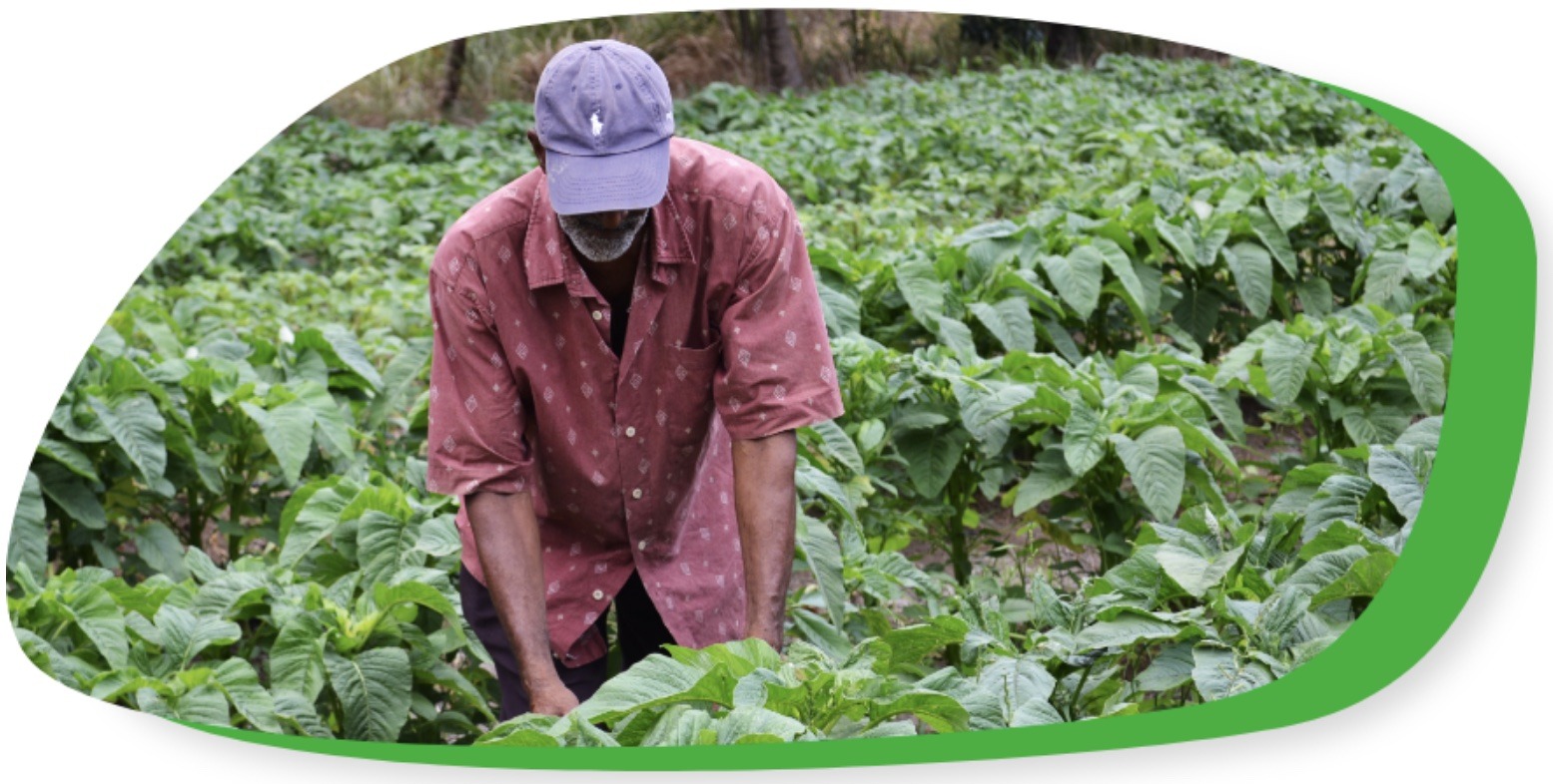 Contract Farming & Direct Sales – Local - FarmLinkr